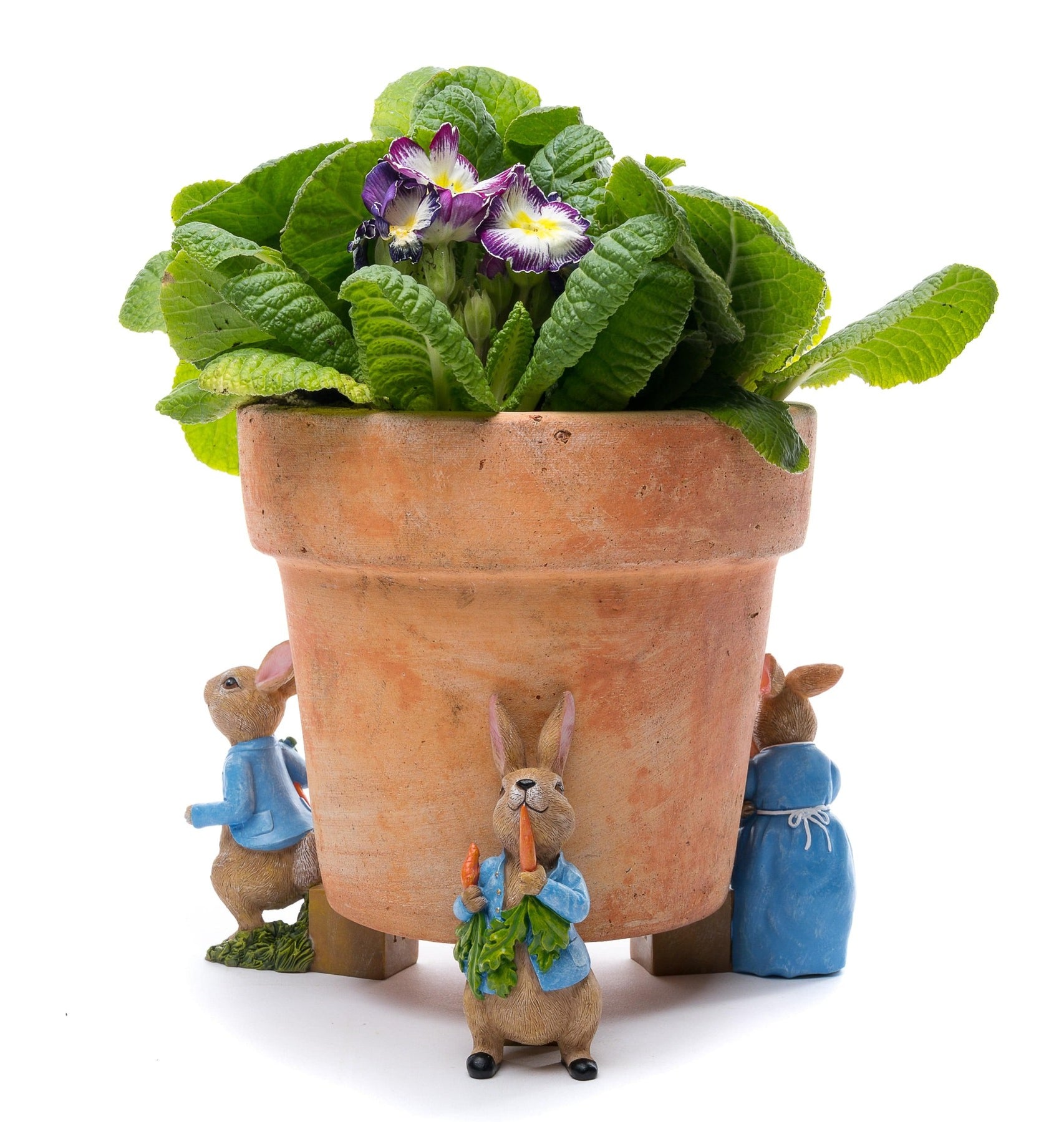 Beatrix Potter Plant Pot Feet - Peter Rabbit & Mrs. Rabbit — Gardening ...