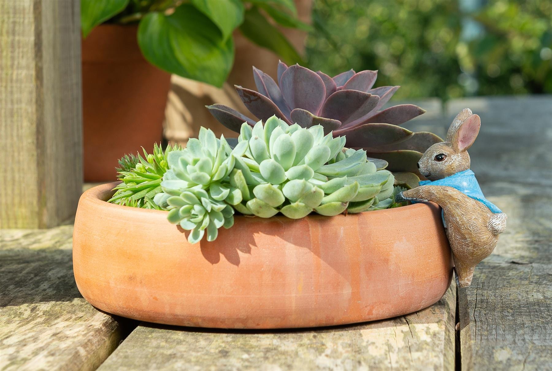 Beatrix Potter Plant Pot Hanger - Peter Rabbit — Gardening Gifts Co.