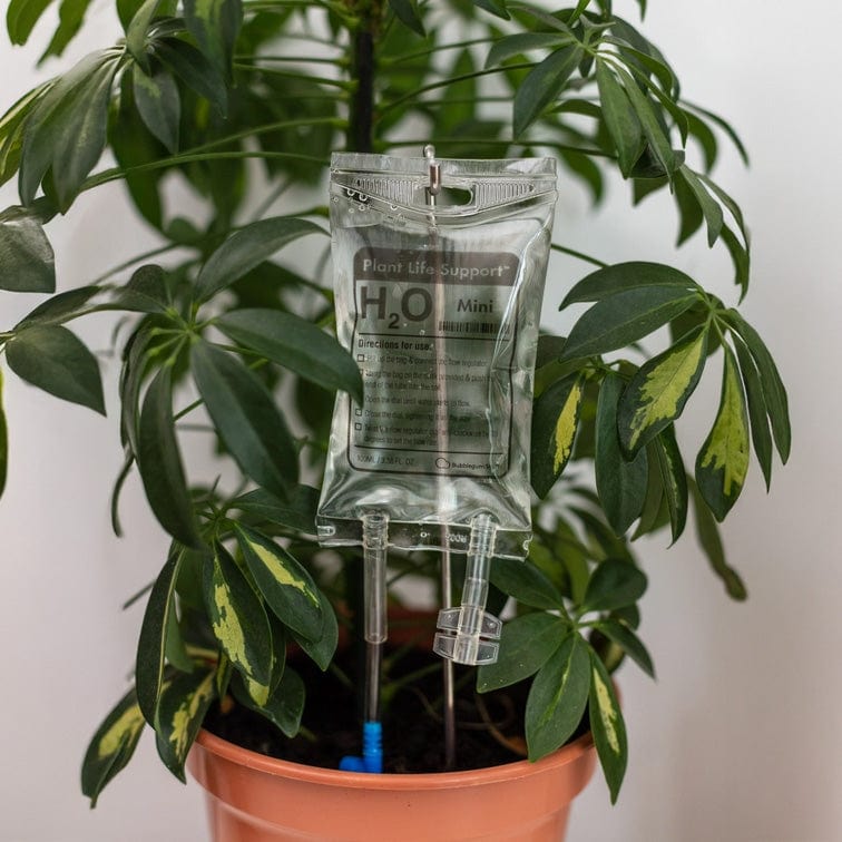 Mini Plant Life Support Watering Device by Bubblegum Stuff — Gardening ...
