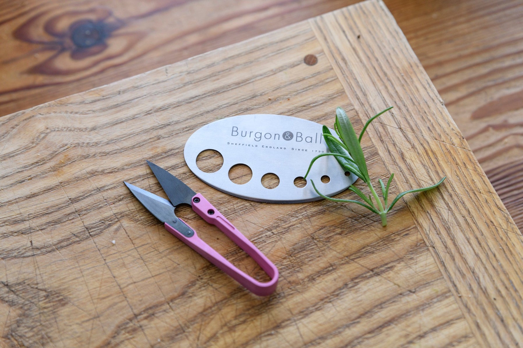 Burgon & Ball Asteraceae Herb Harvest Tool Set - Gift Boxed — Gardening ...