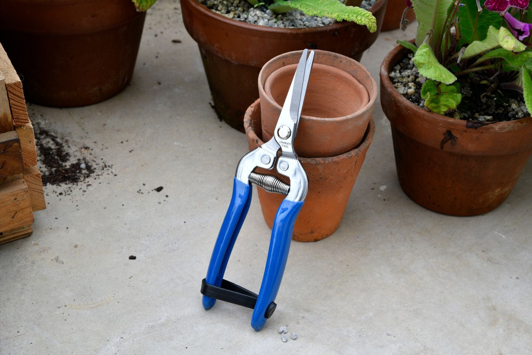 Burgon & Ball British Meadow Flower and Fruit Snip — Gardening Gifts Co.