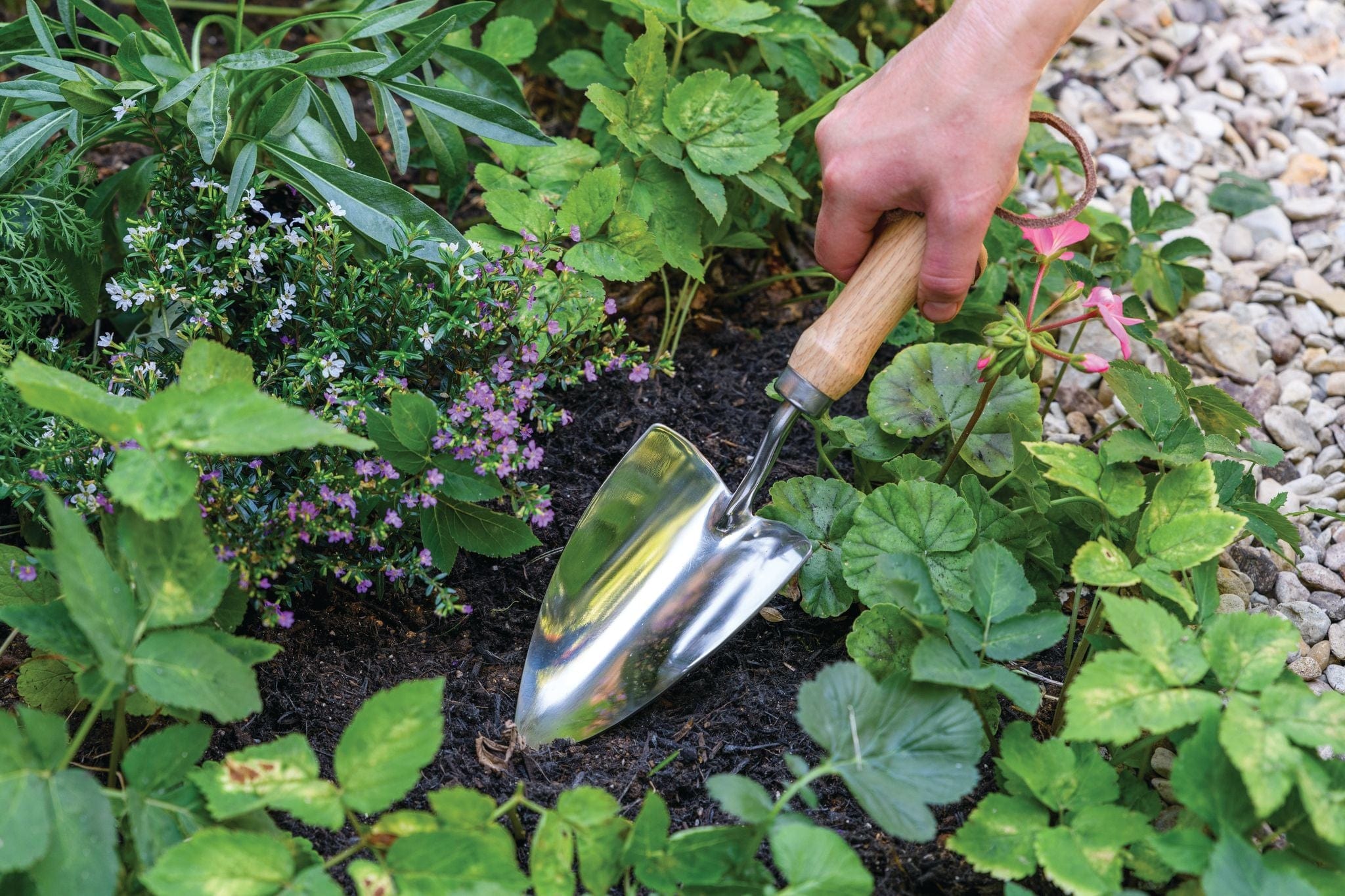 Burgon & Ball Groundbreaker Trowel - RHS Endorsed — Gardening Gifts Co.