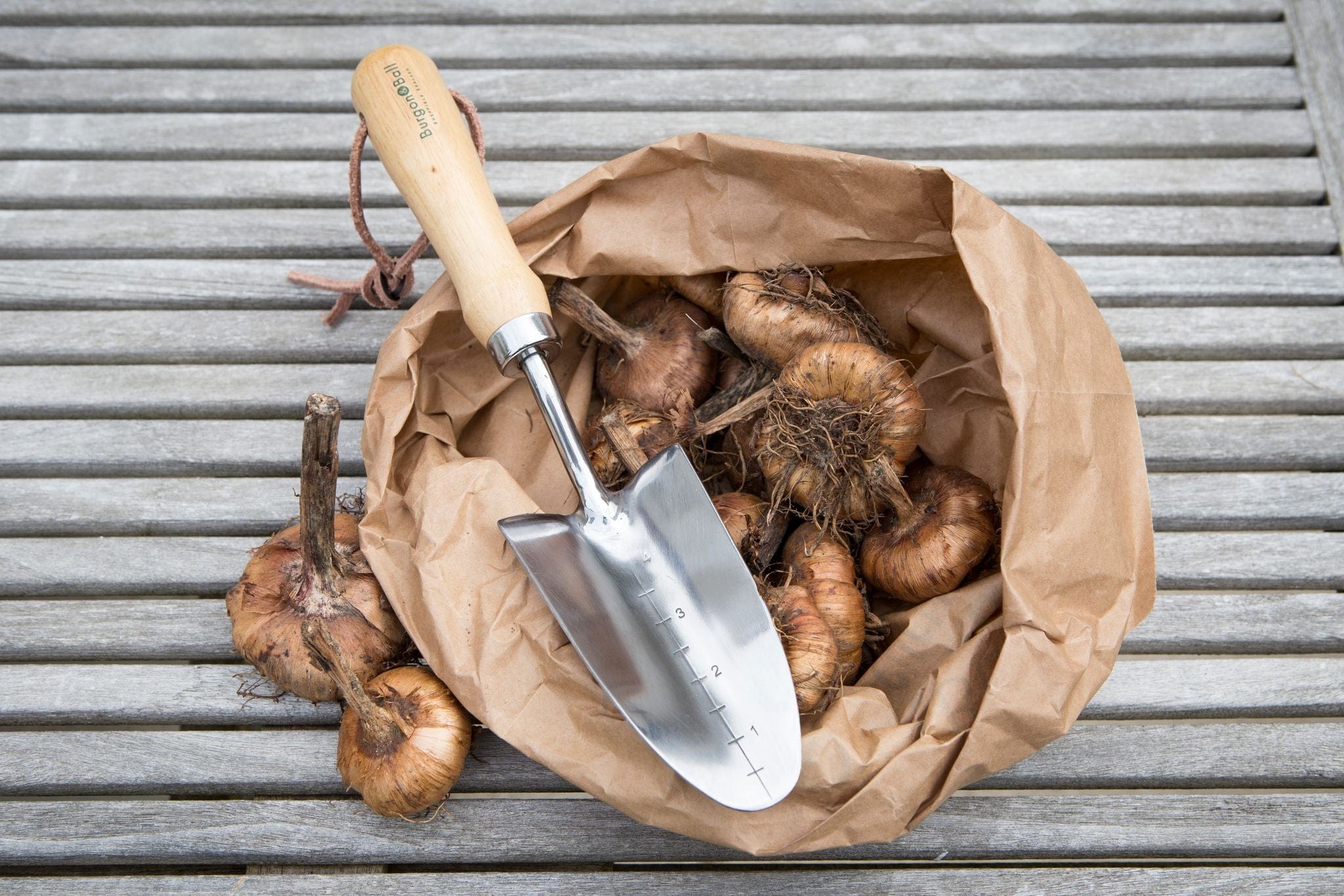 Burgon & Ball Transplanter - RHS Endorsed — Gardening Gifts Co.