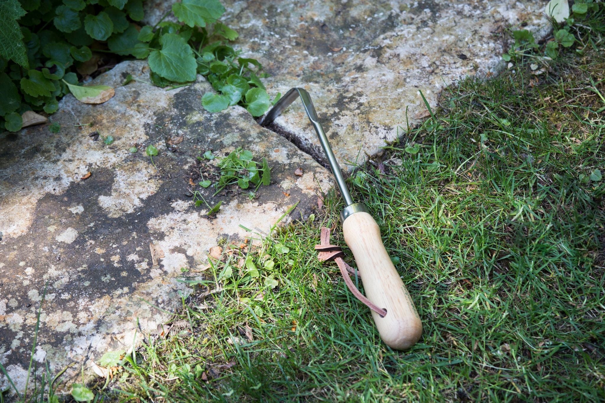 Burgon & Ball Weeding Finger - RHS Endorsed — Gardening Gifts Co.