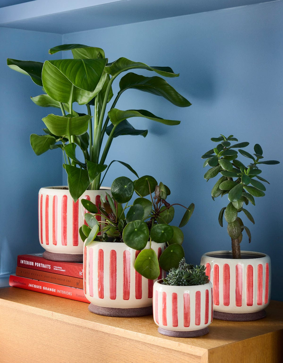 Burgon & Ball Glazed Pot - Red Stripe — Gardening Gifts Co.