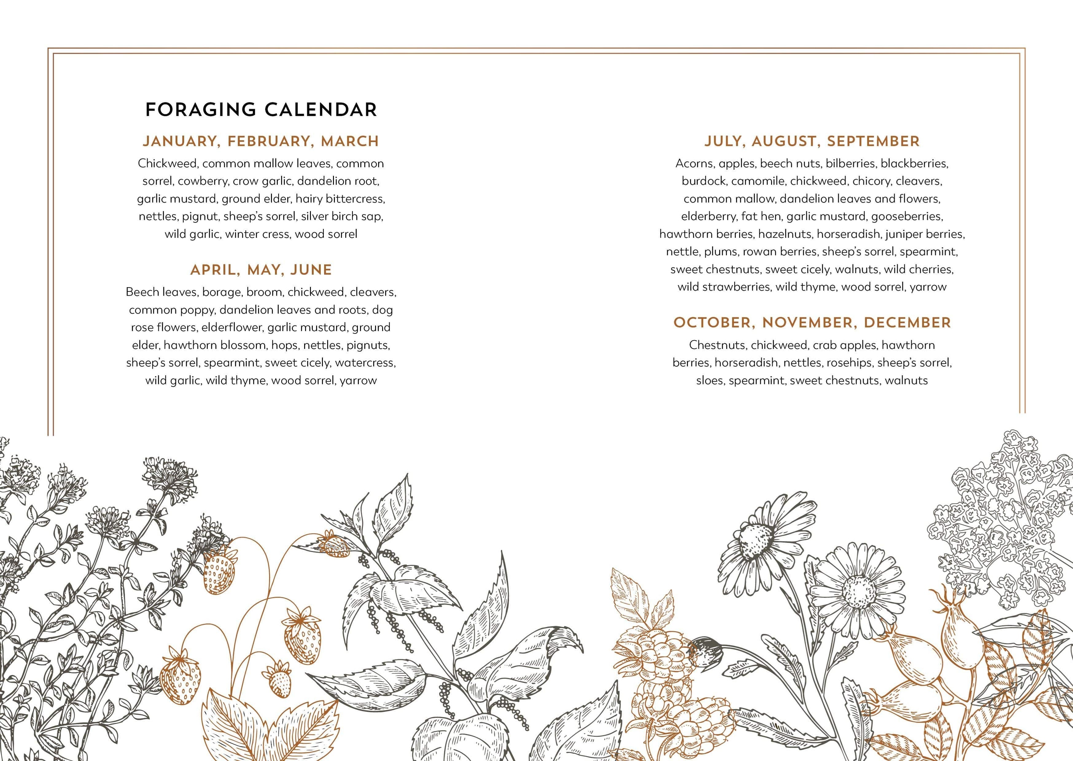Hedgerow Apothecary Foragers Handbook — Gardening Gifts Co.