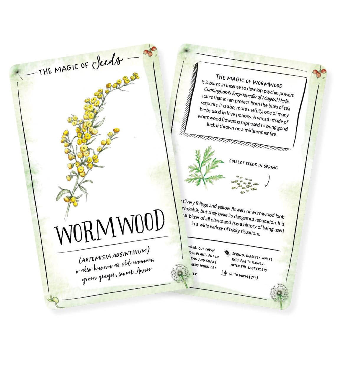 The Magic of Seeds Card Deck — Gardening Gifts Co.