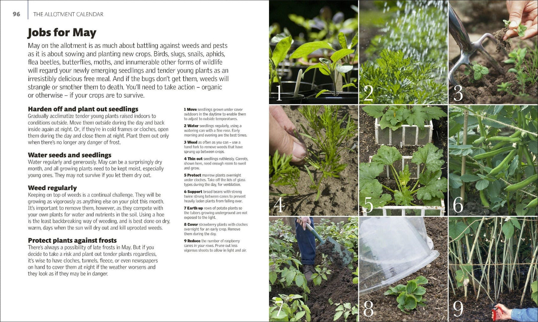 Allotment Month by Month — Gardening Gifts Co.