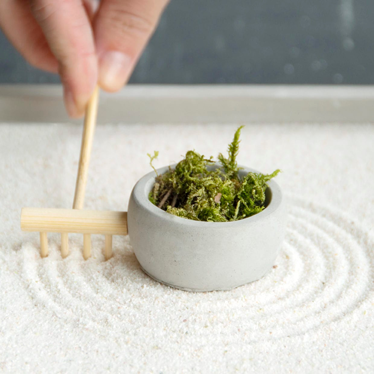Mini Japanese Zen Garden (Rectangle) — Gardening Gifts Co.