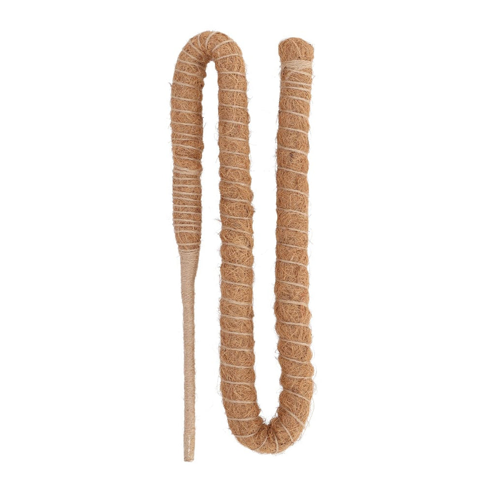 Flexible Coir Plant Support Stick — Gardening Gifts Co.