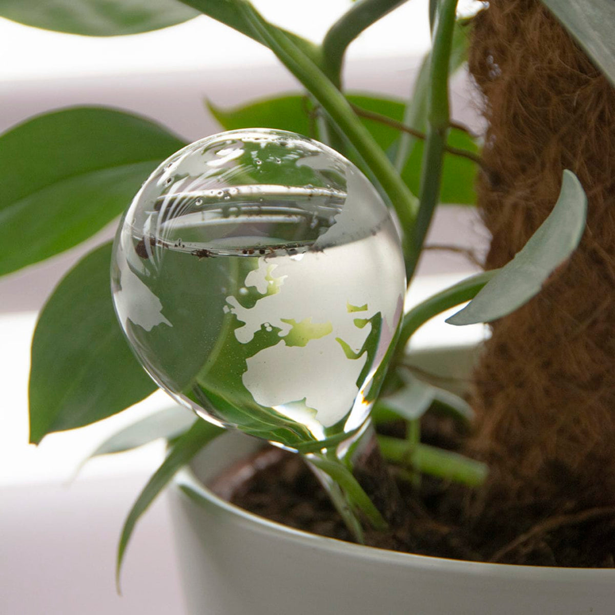 Glass Plant Waterering Globe (Earth Print) — Gardening Gifts Co.