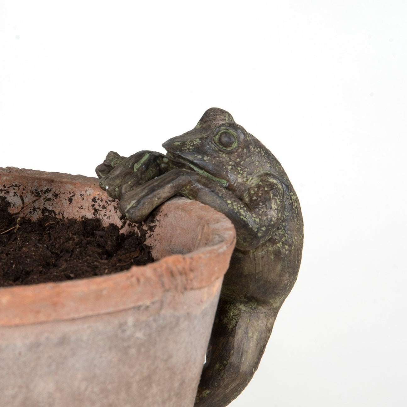 Plant Pot Hanger - Frog — Gardening Gifts Co.