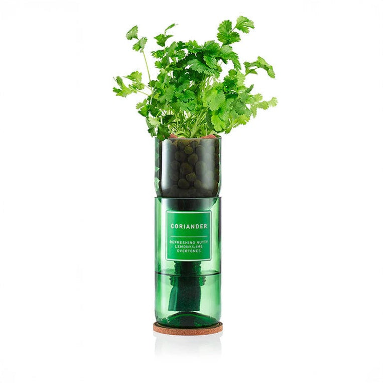 Hydro-Herb Growing Kit — Gardening Gifts Co.