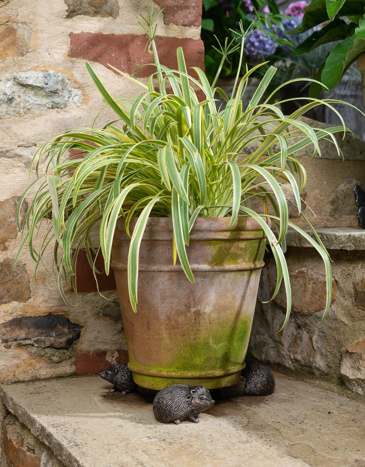 Plant Pot Feet - Bronze Hedgehog - Jardinopia — Gardening Gifts Co.