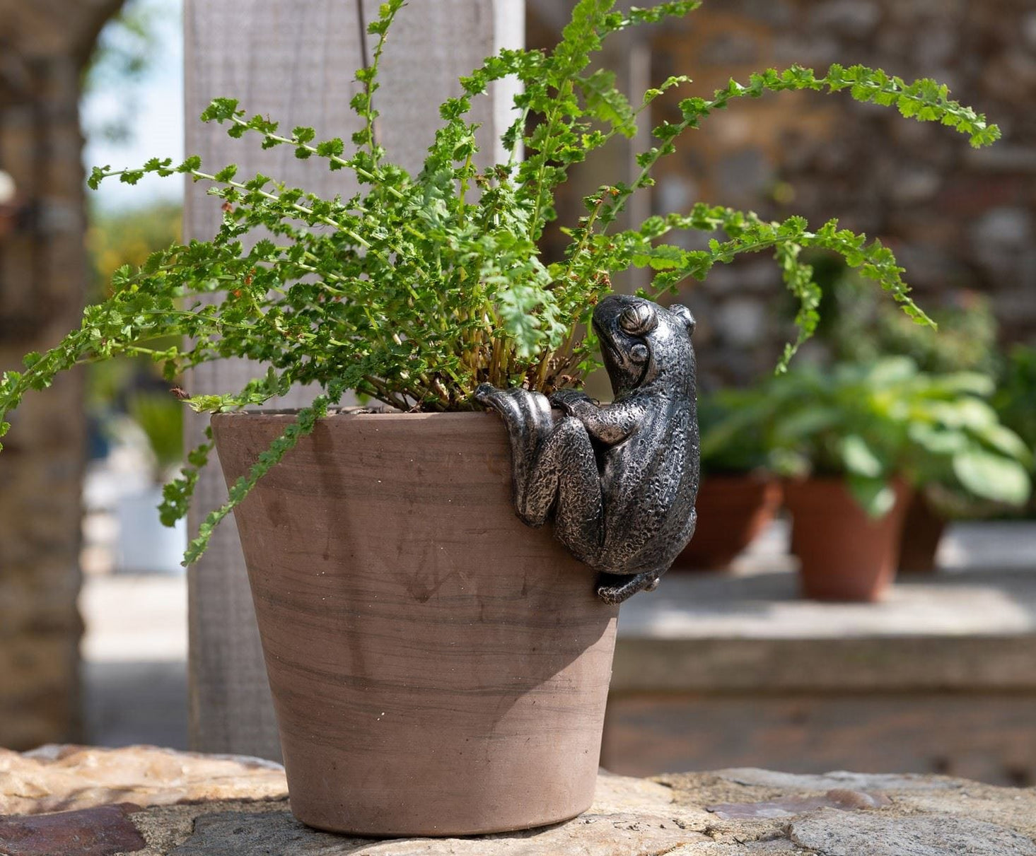 Plant Pot Hanger - Bronze Frog - Jardinopia — Gardening Gifts Co.