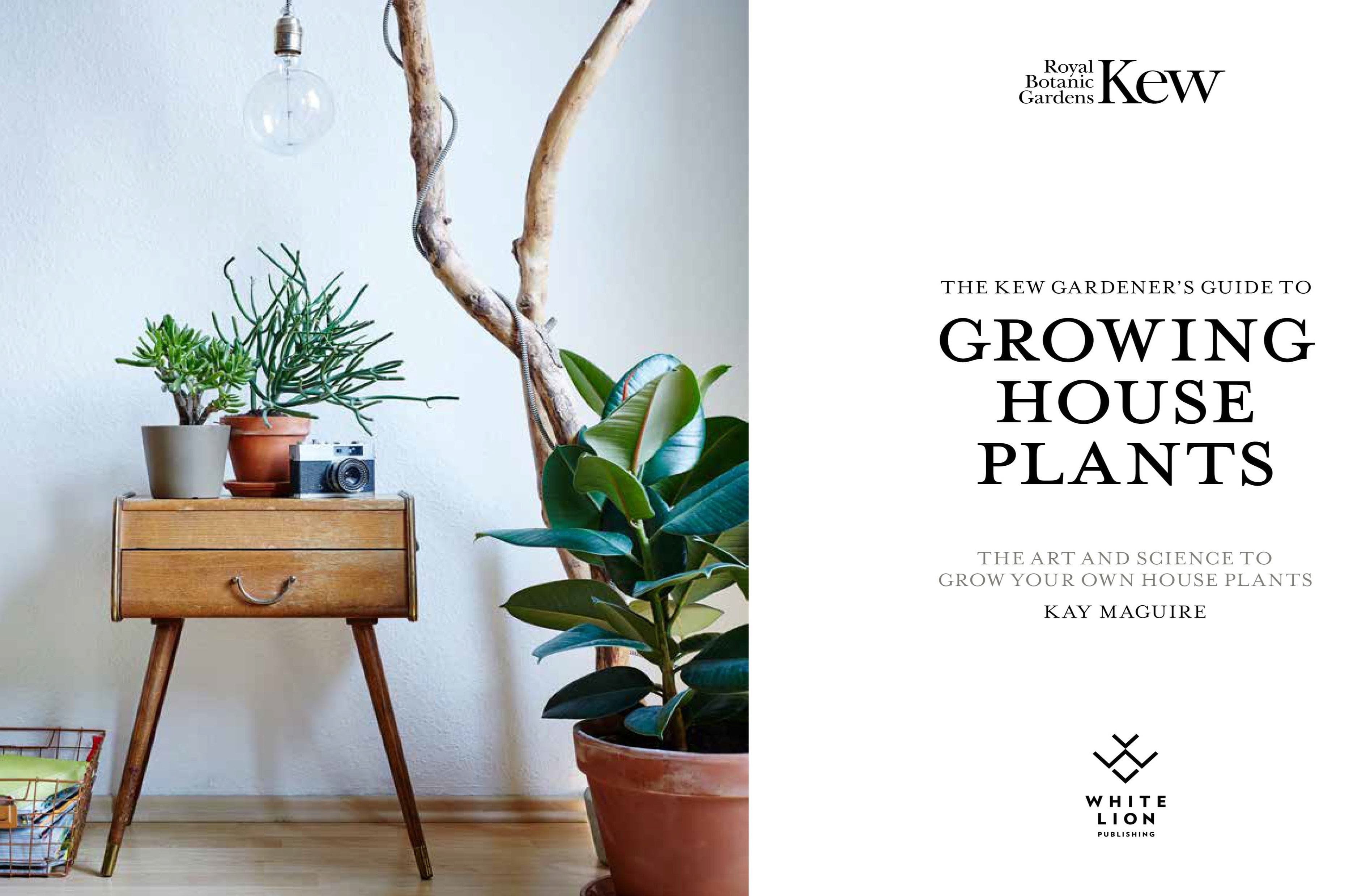 The Kew Gardener's Guide To Growing House Plants — Gardening Gifts Co.
