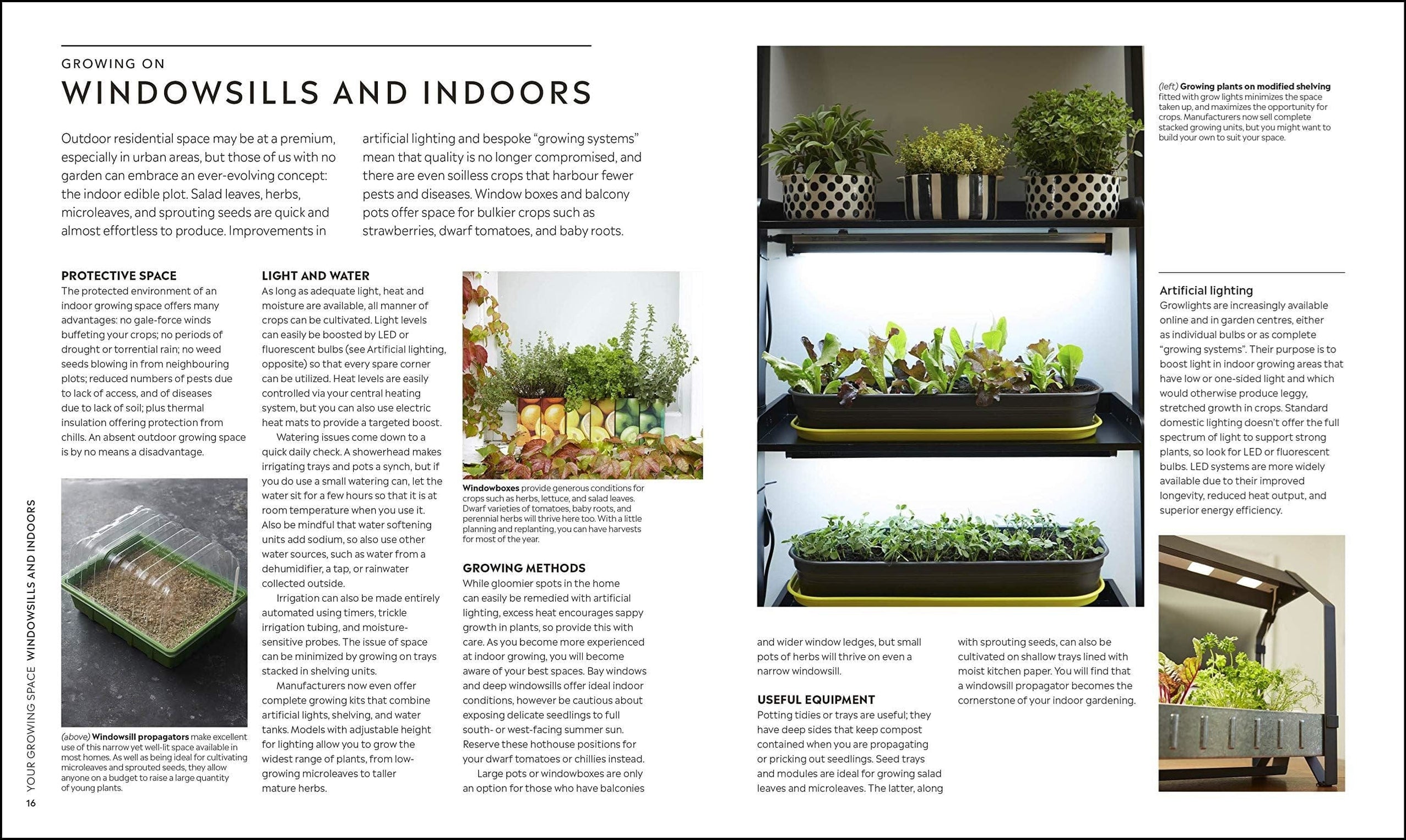 RHS Step-by-Step Veg Patch: A Foolproof Guide to Every Stage of Growing ...