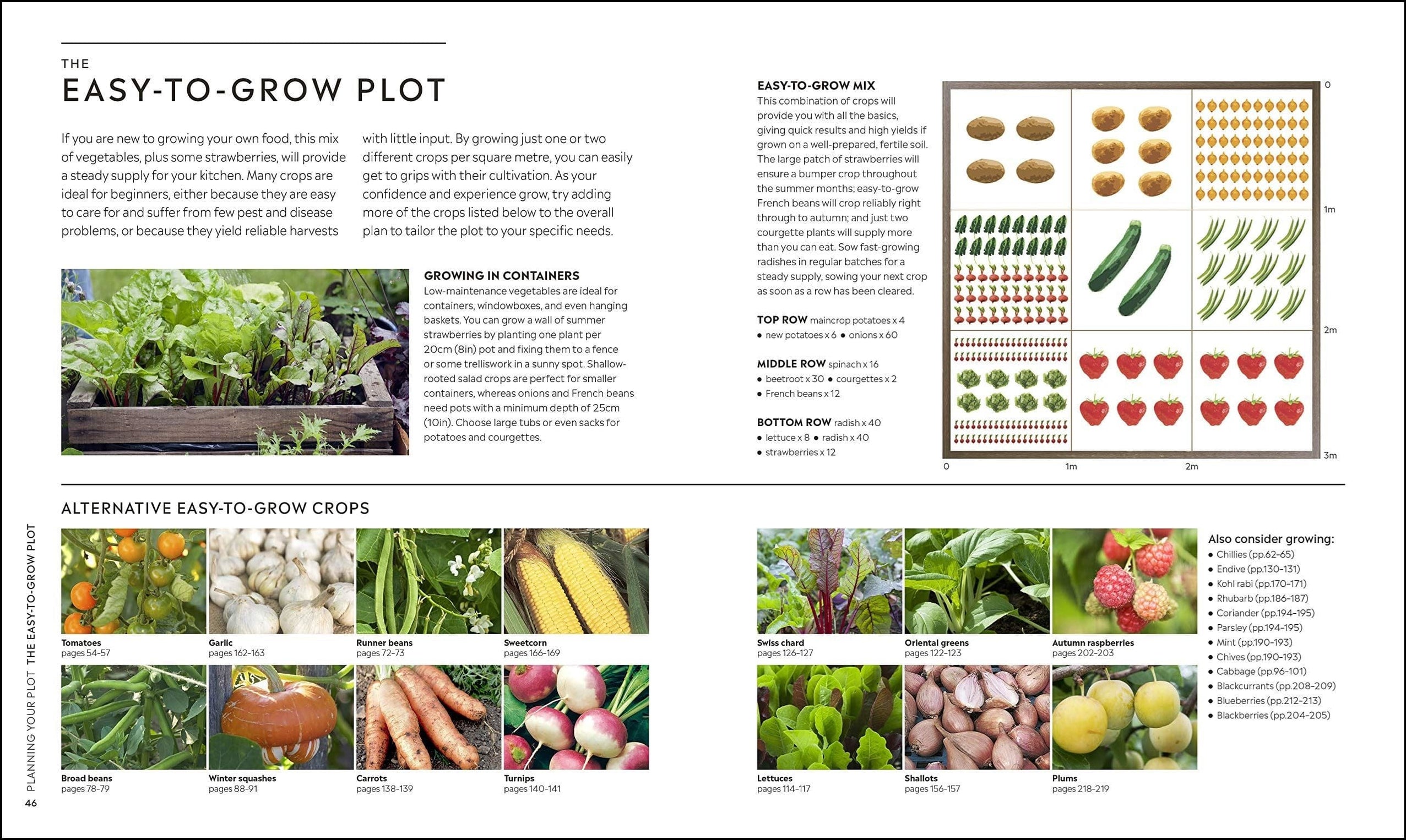 RHS Step-by-Step Veg Patch: A Foolproof Guide to Every Stage of Growing ...