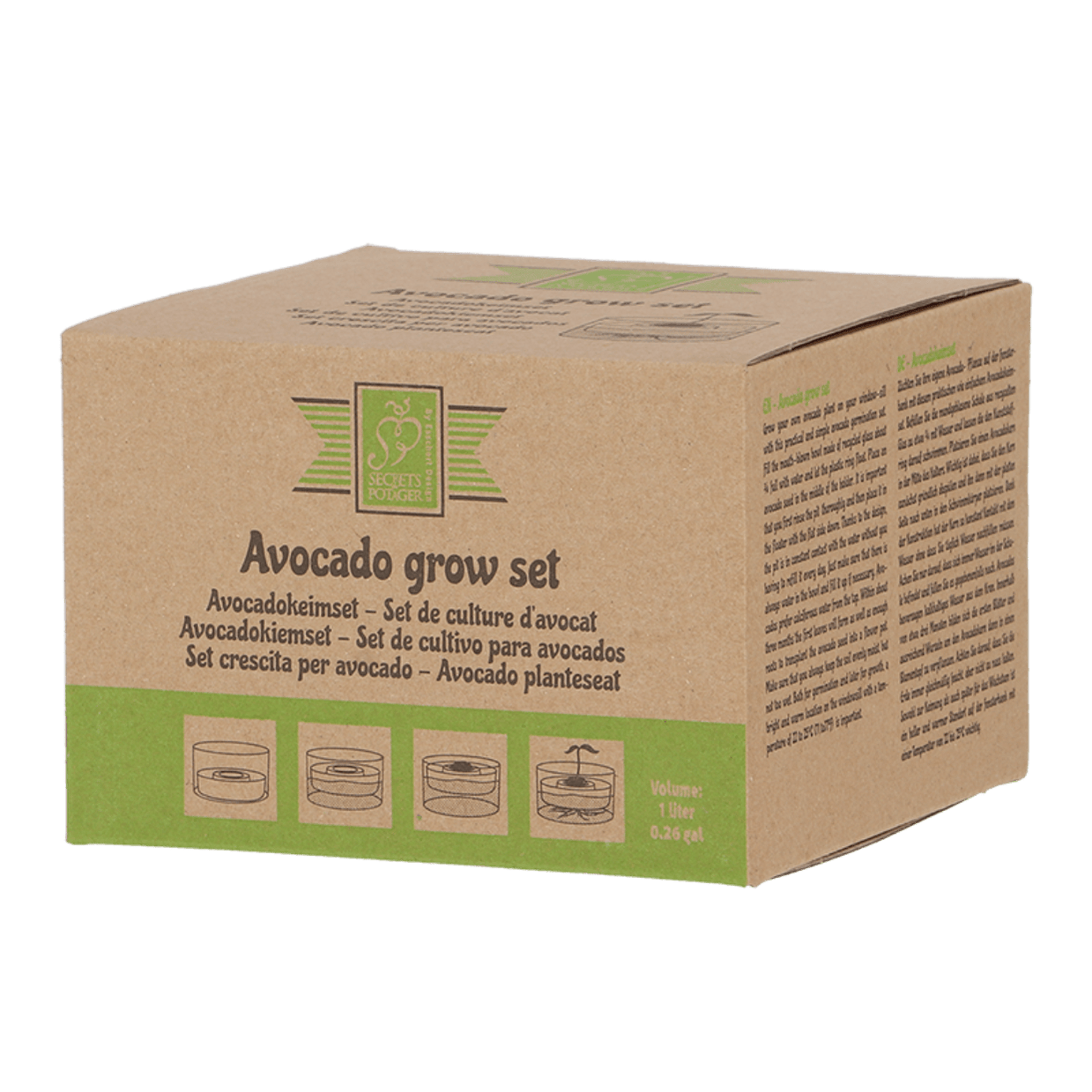 Avocado Growing Kit - Grow Avocado from Seed — Gardening Gifts Co.