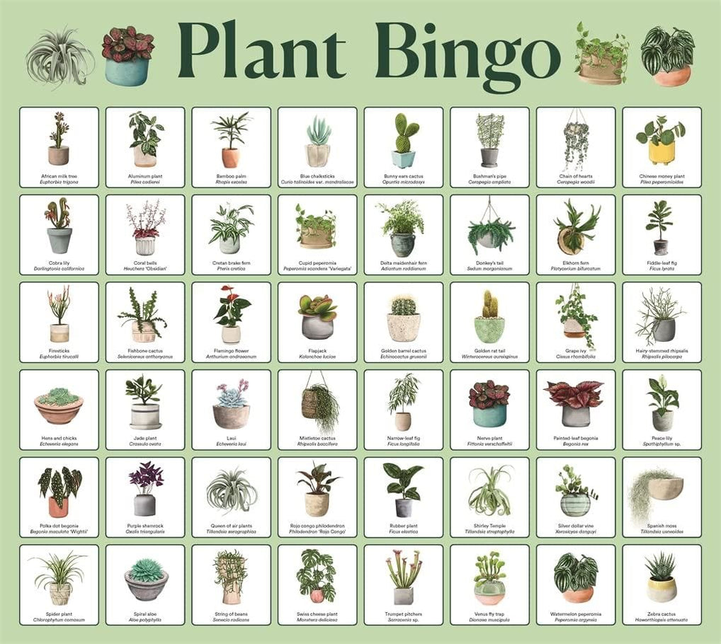 Plant Bingo: A Game For Green Thumbs — Gardening Gifts Co.