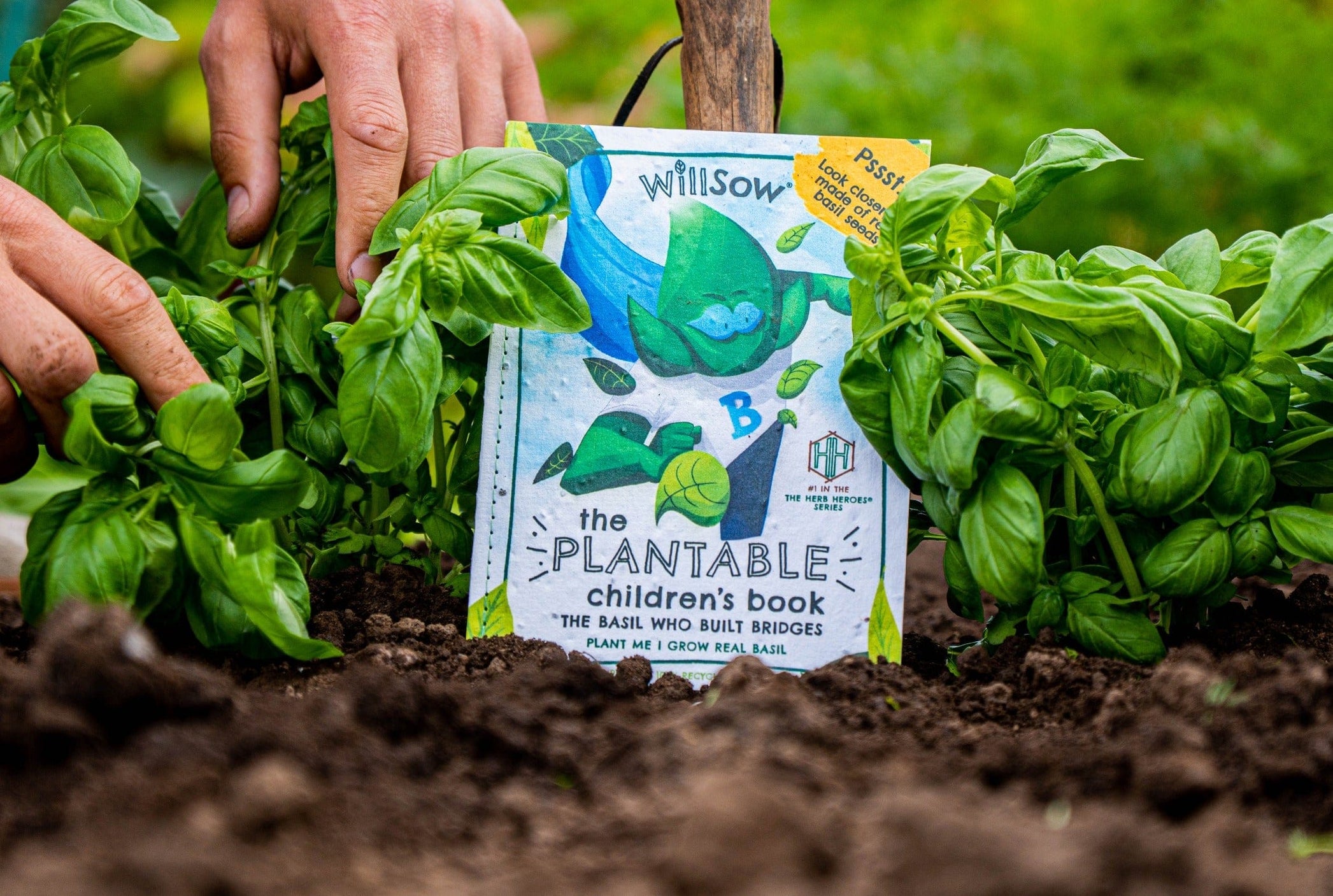 The Basil Who Built Bridges - Plantable Children's Book by Willsow ...