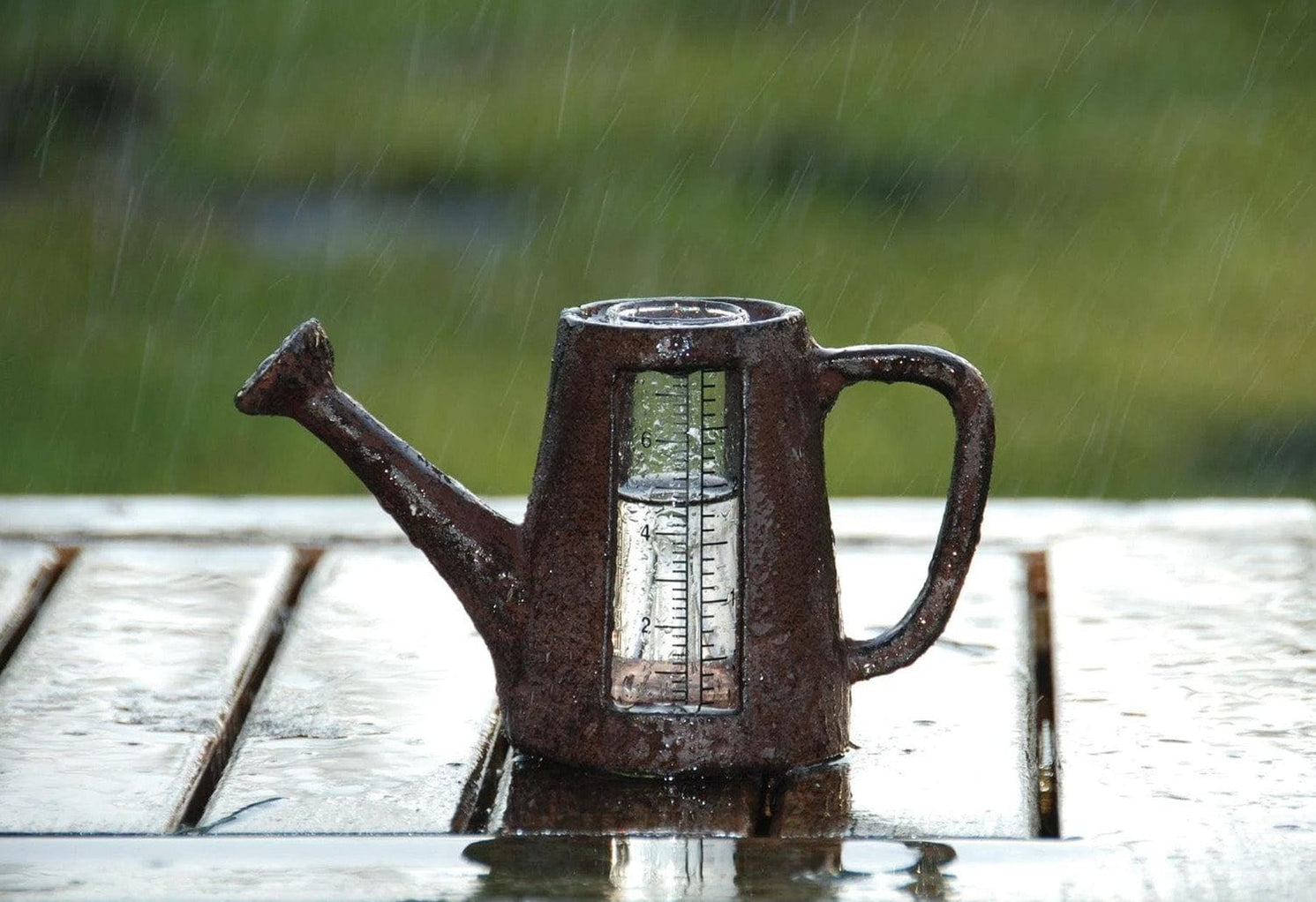 Decorative Rain Gauge (Various Styles) — Gardening Gifts Co.
